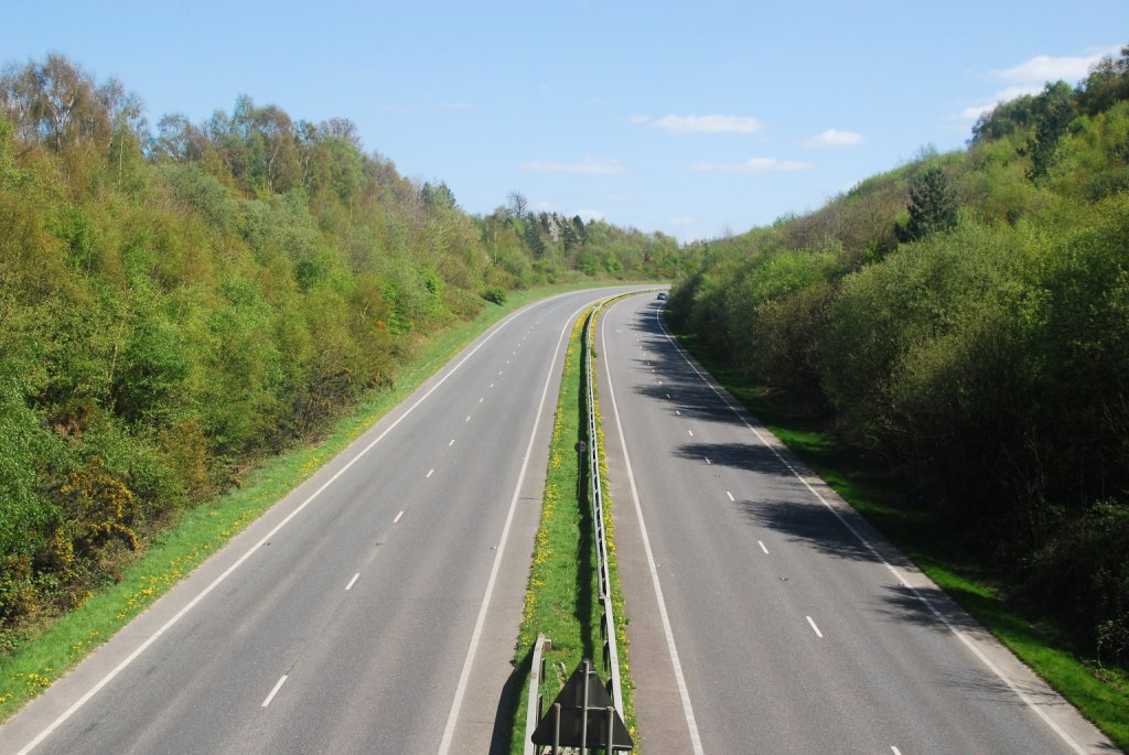 Top Landscaping Solutions to Reduce Traffic Noise Pollution