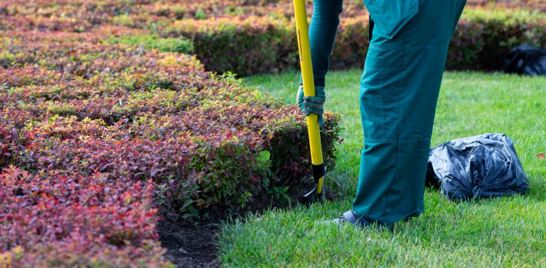 Grounds Maintenance Guide: Key Practices for Effective Care